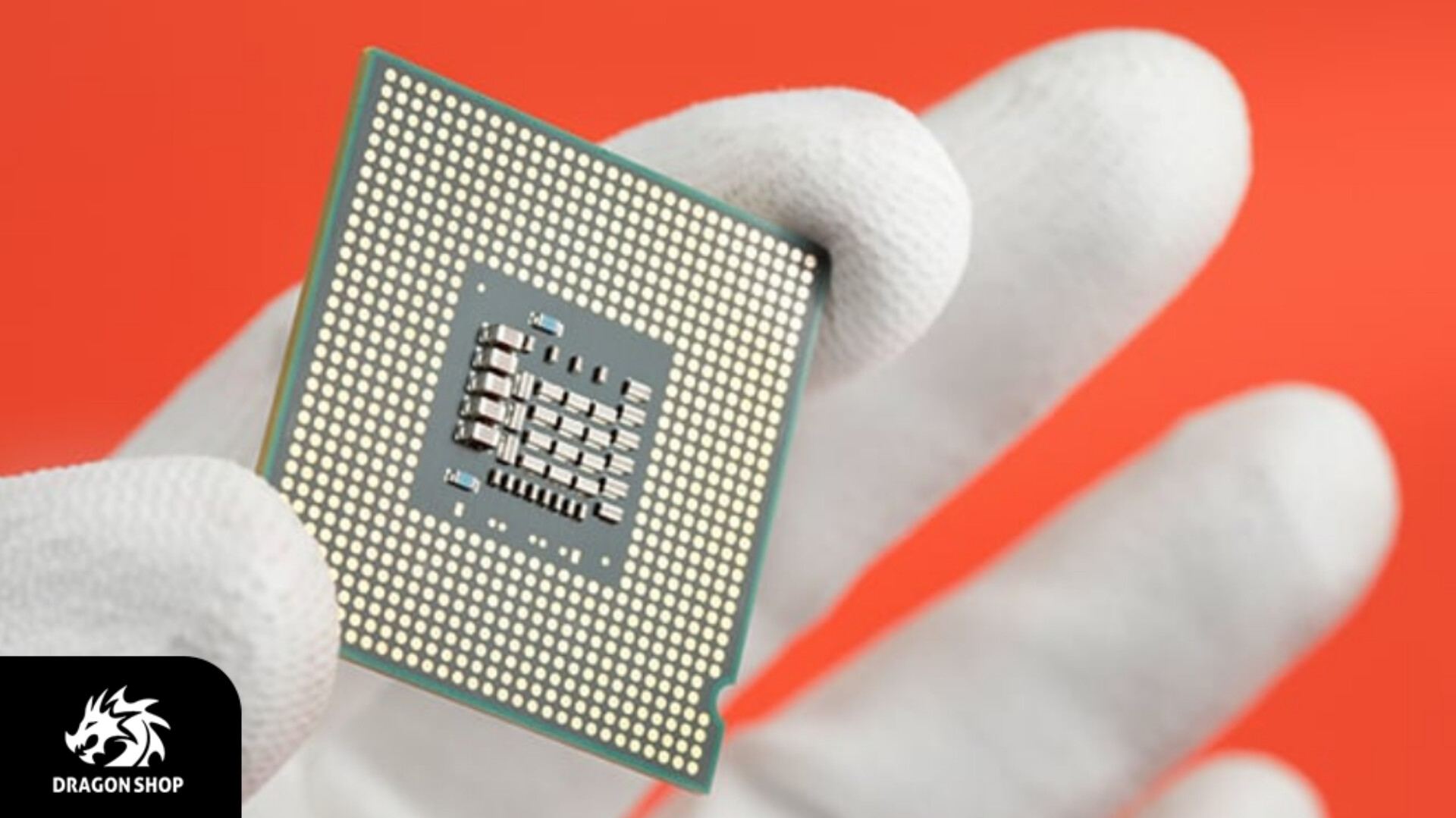 پردازنده (CPU) چیست؟ + نحوه کار | دراگون شاپ